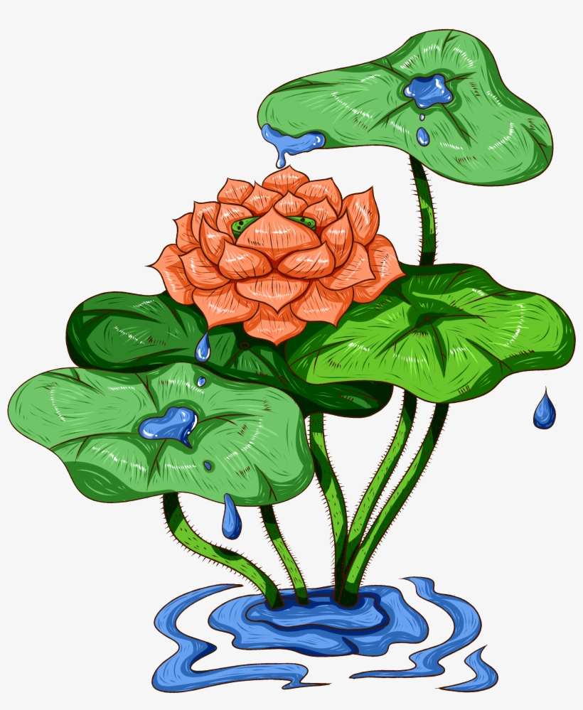 Original Commercial Hand Painted Plant Png And Psd - Nymphaea Nelumbo ...