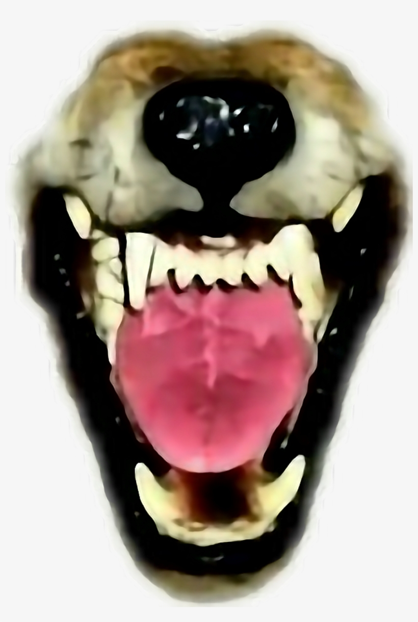 #wolf #ftestickers #mouth #teeth #fangs #snarl #werewolf - Grey Wolf ...