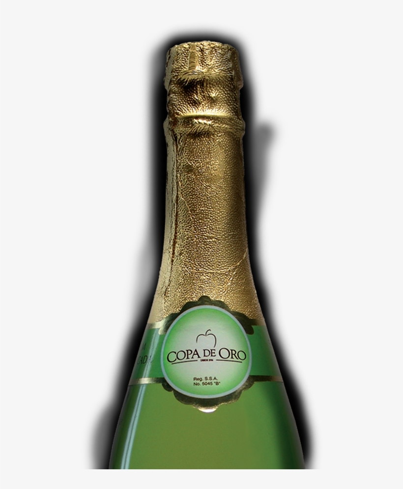 Leer Más - Sidra Copa De Oro Etiqueta Transparent PNG - 511x912 - Free Download on NicePNG