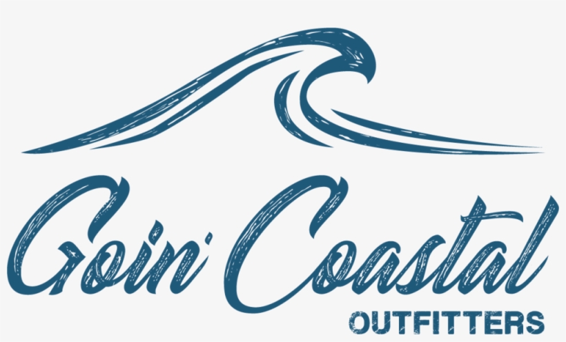 Hang Loose Png Transparent PNG - 1000x557 - Free Download on NicePNG