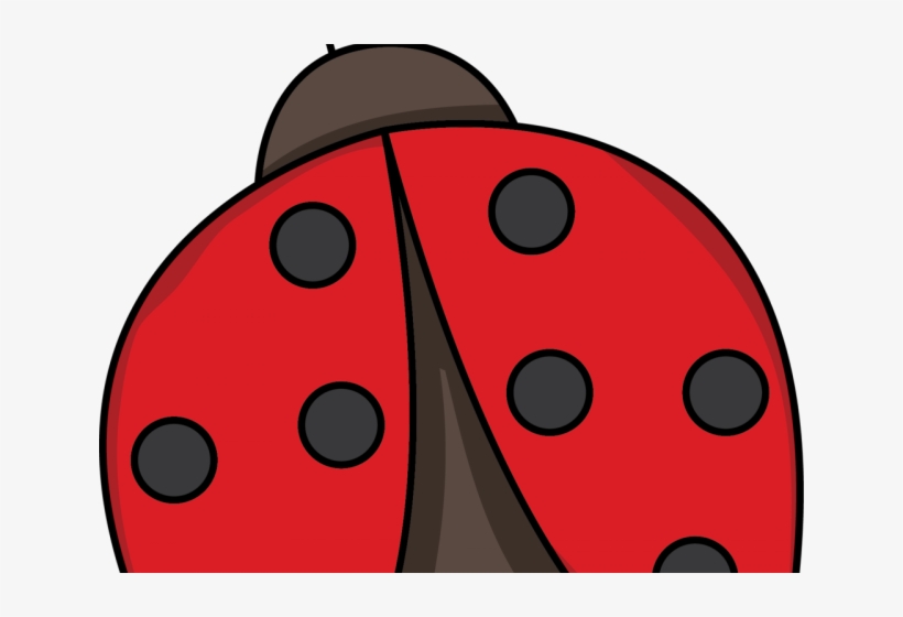 Cute Clipart Ladybug Transparent PNG - 640x480 - Free Download on NicePNG