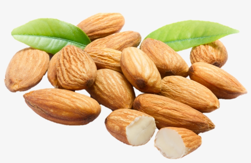 Almonds Png Transparent PNG - 1500x999 - Free Download on NicePNG