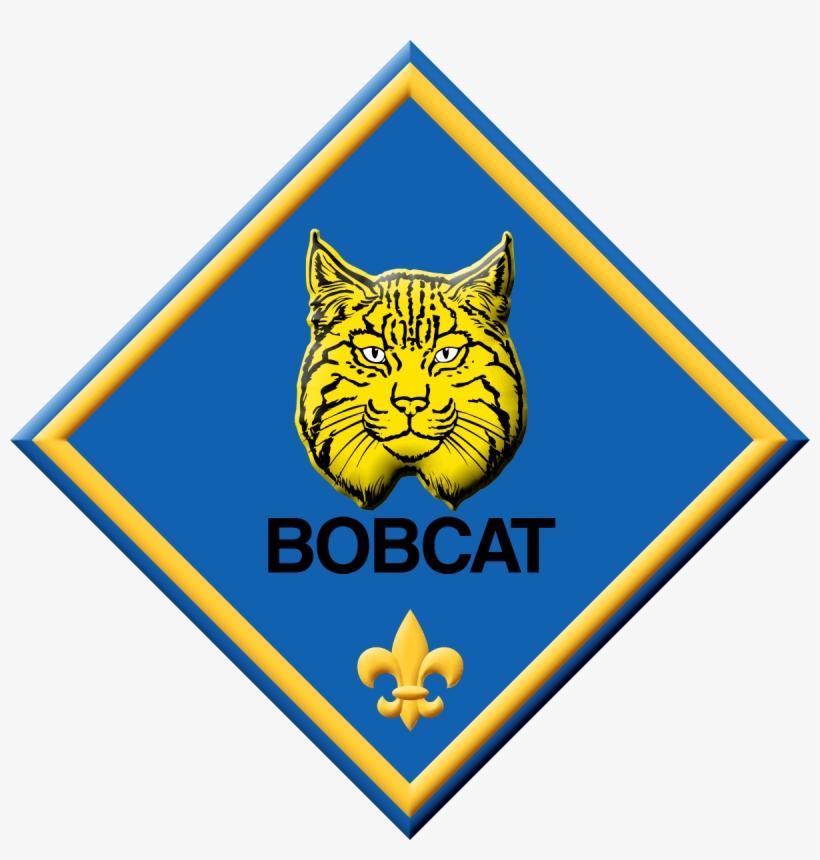 Cub Scout Ranks Transparent PNG - 1200x1200 - Free Download on NicePNG