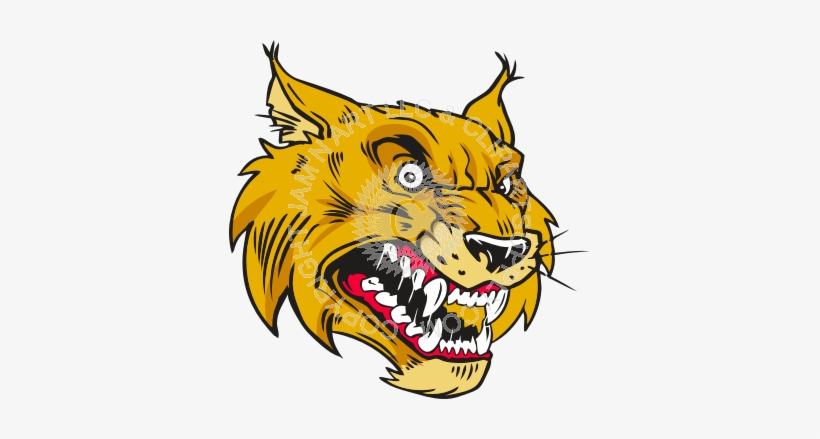 Bobcat Clipart Vicious Transparent PNG - 361x359 - Free Download on NicePNG