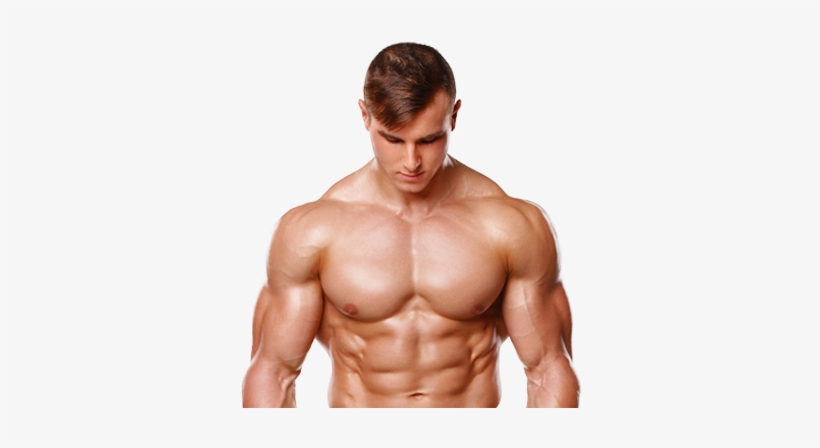 Bodybuilding Png Transparent PNG - 551x374 - Free Download on NicePNG