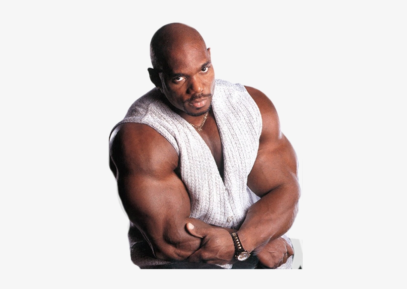 Body Builder Png Transparent PNG - 428x508 - Free Download on NicePNG