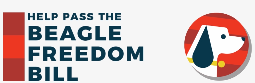 Beagle Bill - Beagle Transparent PNG - 1832x508 - Free Download on NicePNG