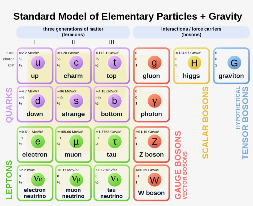 Standard Model Of Elementary Particles Gravity Transparent PNG ...