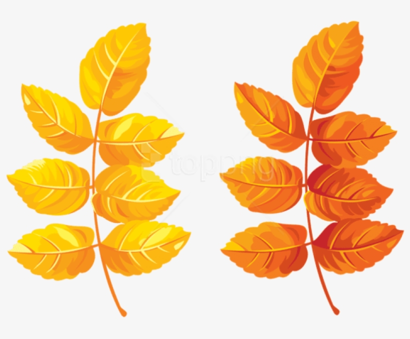 Yellow Leaves Clip Art