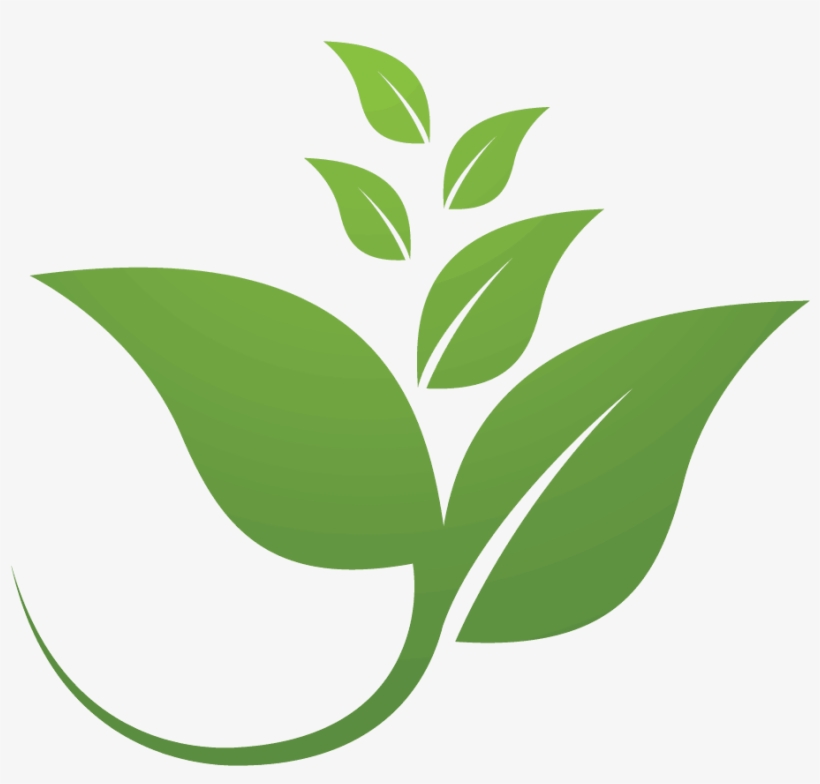 Sda Icon Experience Transparent PNG - 1250x1250 - Free Download on NicePNG