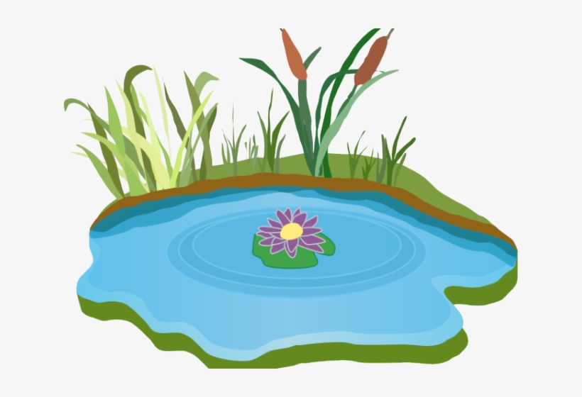 Teaching Aids For Numbers Transparent PNG - 640x480 - Free Download on ...