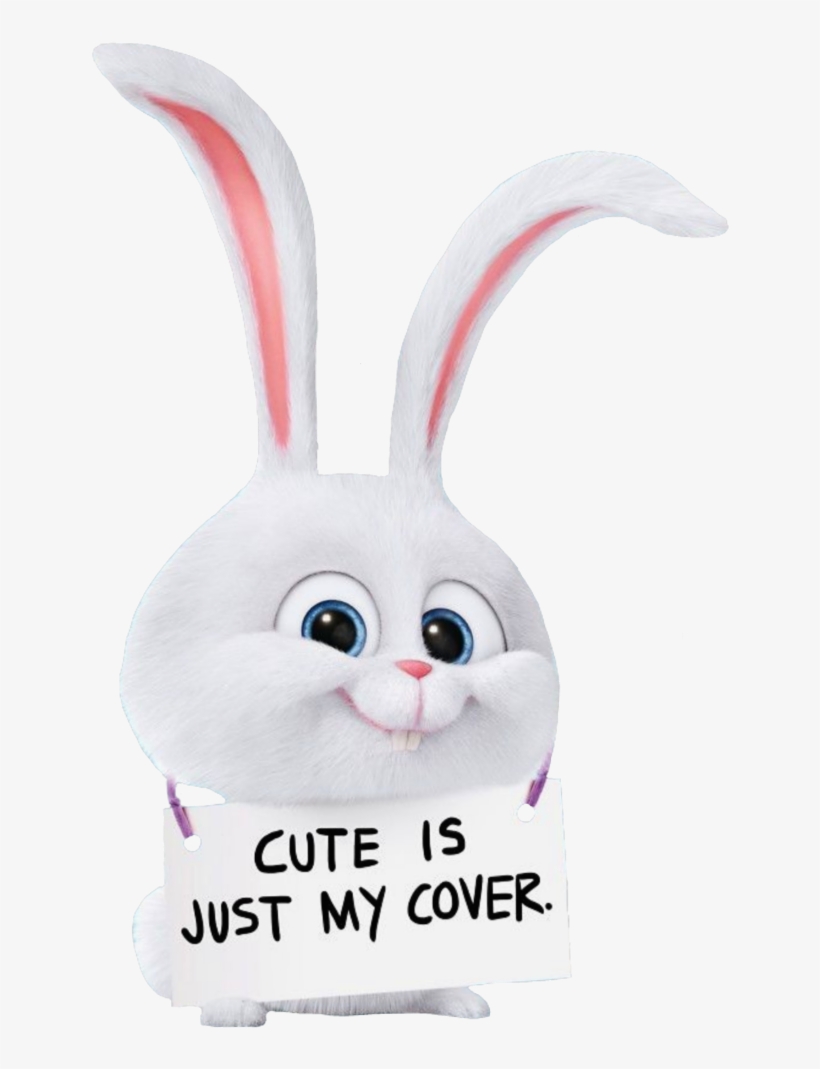 Snowball Sticker - Cat Wallpaper Cute Iphone Transparent PNG ...