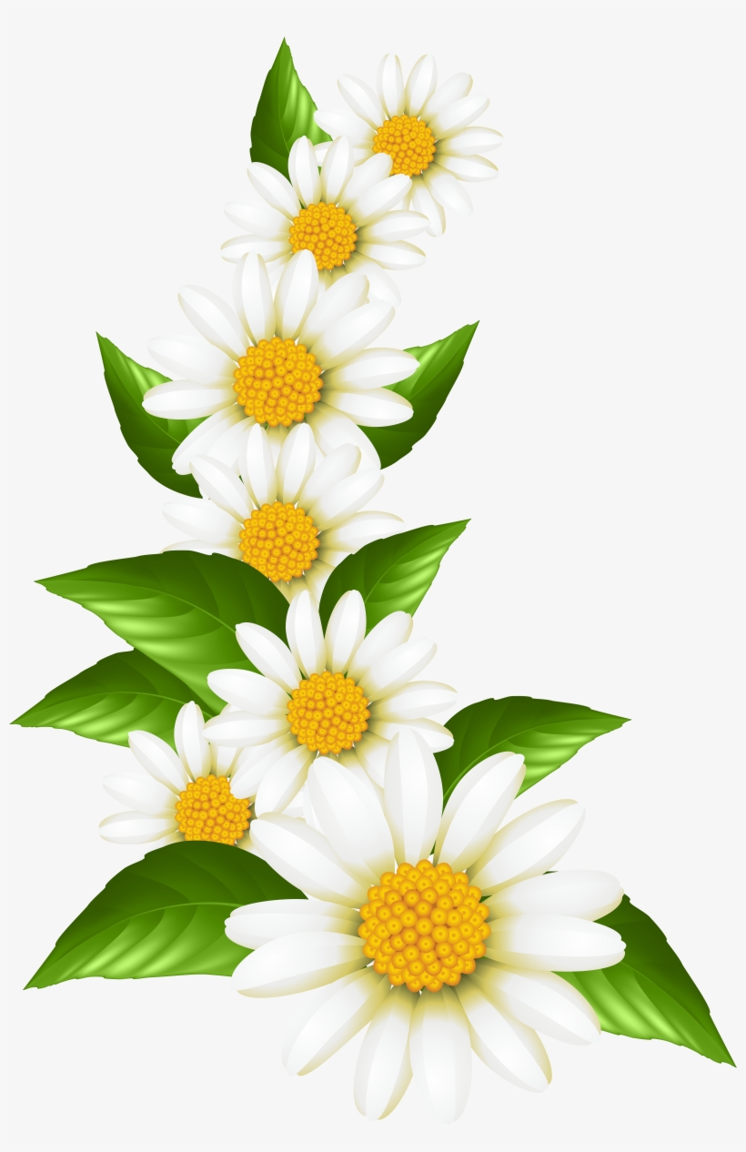 Daisy Border Clip Art Free