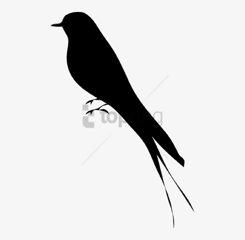 Free Png Bird Silhouette Png Image With Transparent - Sitting ...