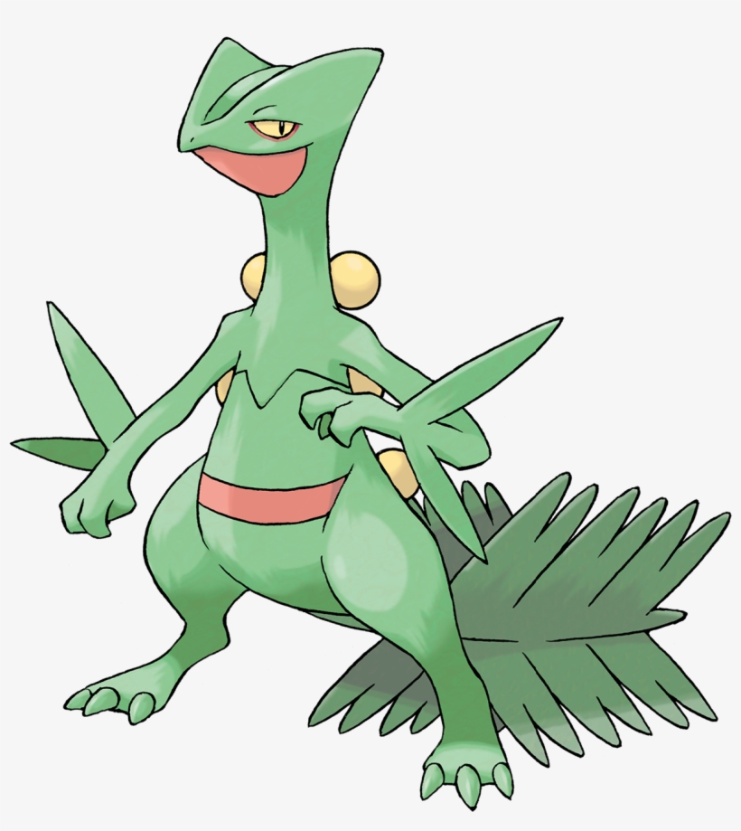 Bulbasaur Razor Leaf Math Question Gen Predictions - Pokemon Sceptile ...