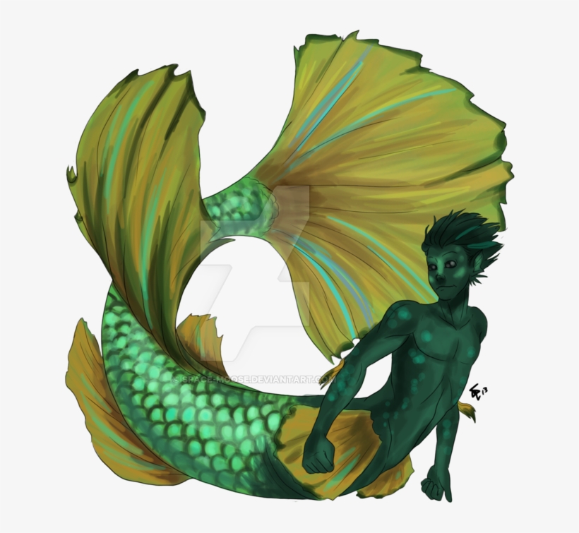 Betta Fish Mermaid By Space - Betta Fish As A Mermaid Transparent PNG ...