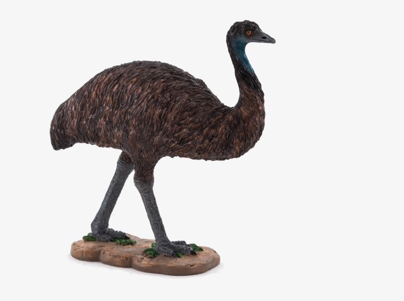 Emu Figure Transparent PNG - 4294x2862 - Free Download on NicePNG