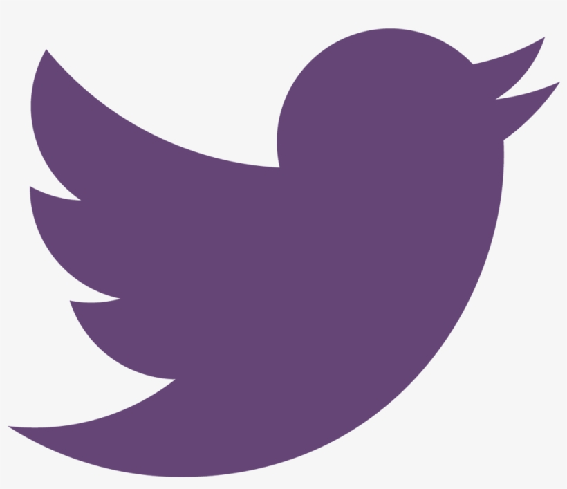 1024 X 1024 3 - Twitter Logo Vector Grey Transparent PNG - 1024x1024 ...
