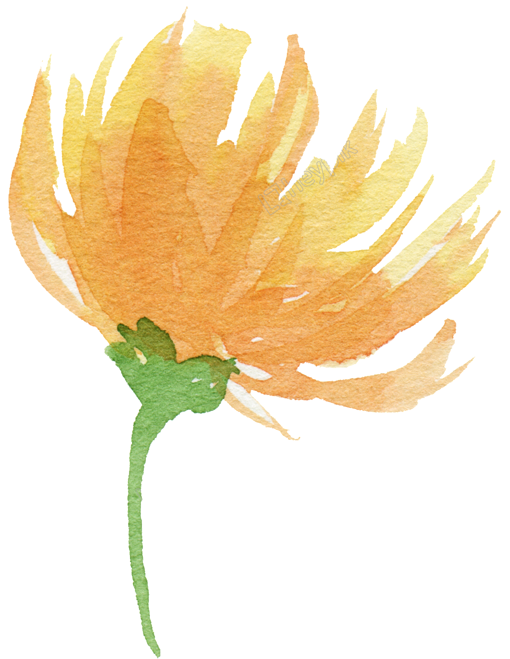 Download HD Clip Library For Yellow Watercolor Flowers Free Download ...