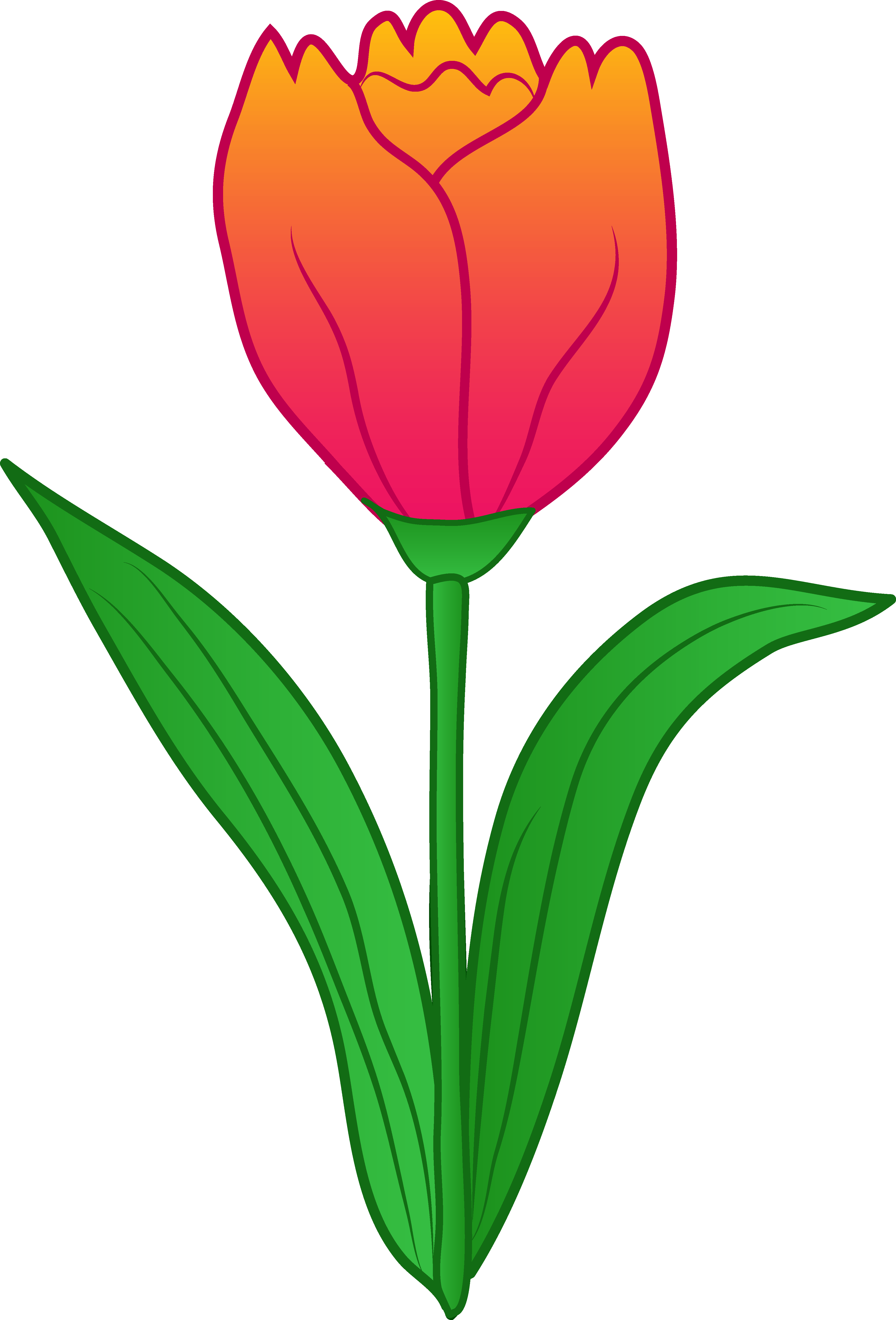 Download Tulip - Tulip Flower Clipart - HD Transparent PNG - NicePNG.com