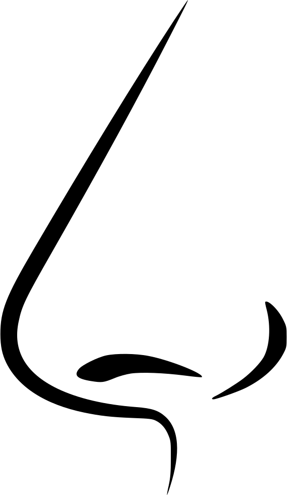Download Nose Comments - Nose Icon Png - HD Transparent PNG - NicePNG.com
