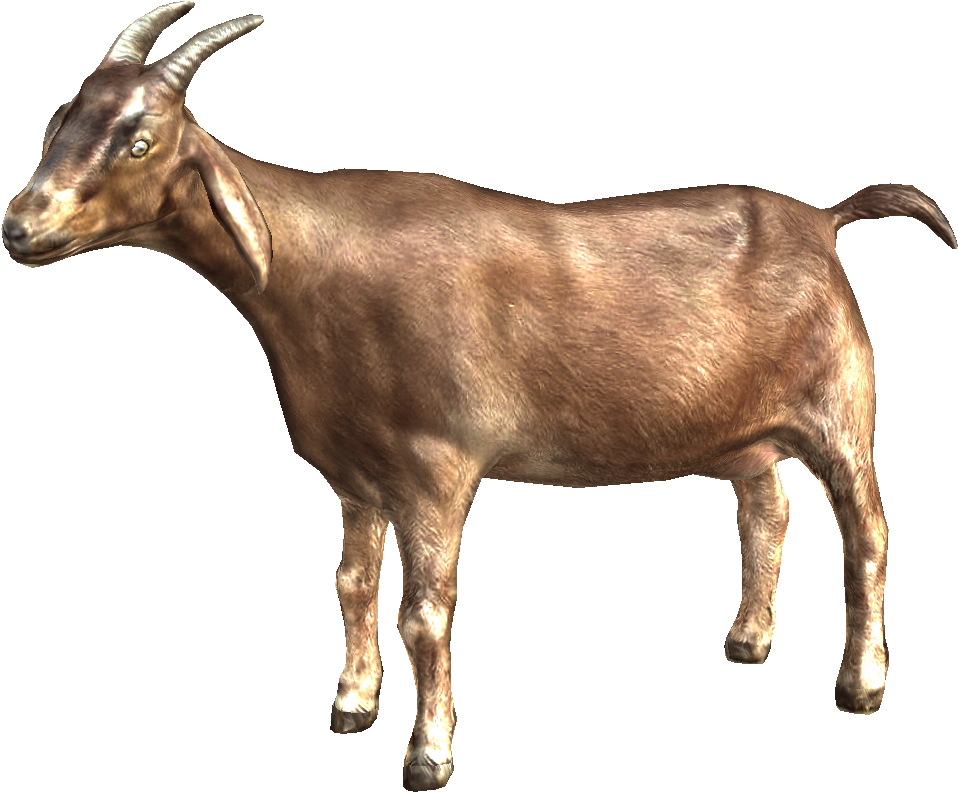 Download Free Png Goat Png Images Transparent - Goat Png - HD ...