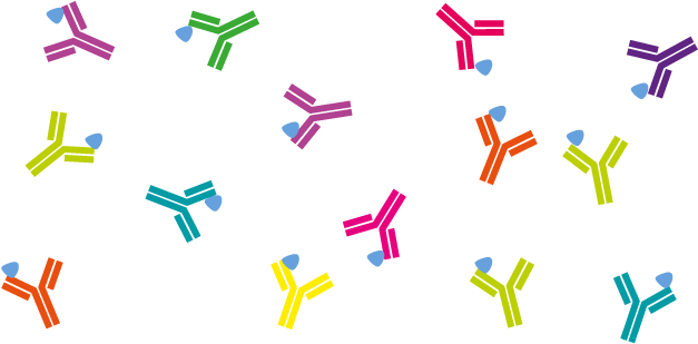 Download HD Antibody Transparent PNG Image - NicePNG.com