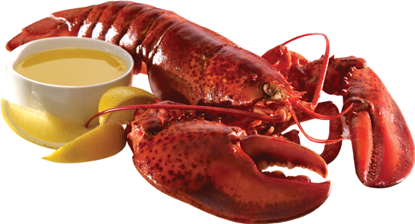 Download Lobster Png - Cooked Lobster Png - HD Transparent PNG ...