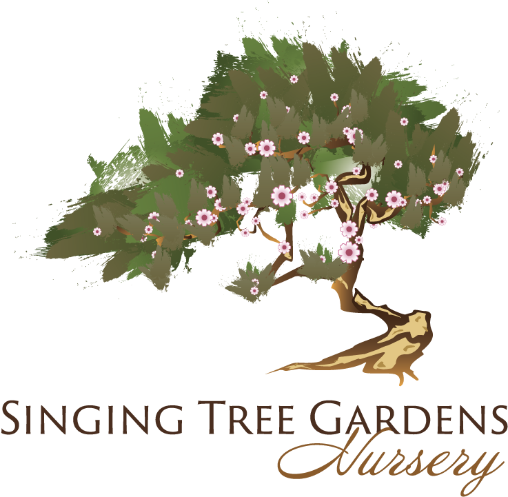 Download Singing Tree Garden's Logo In Case Study By Evenvision - Plant ...