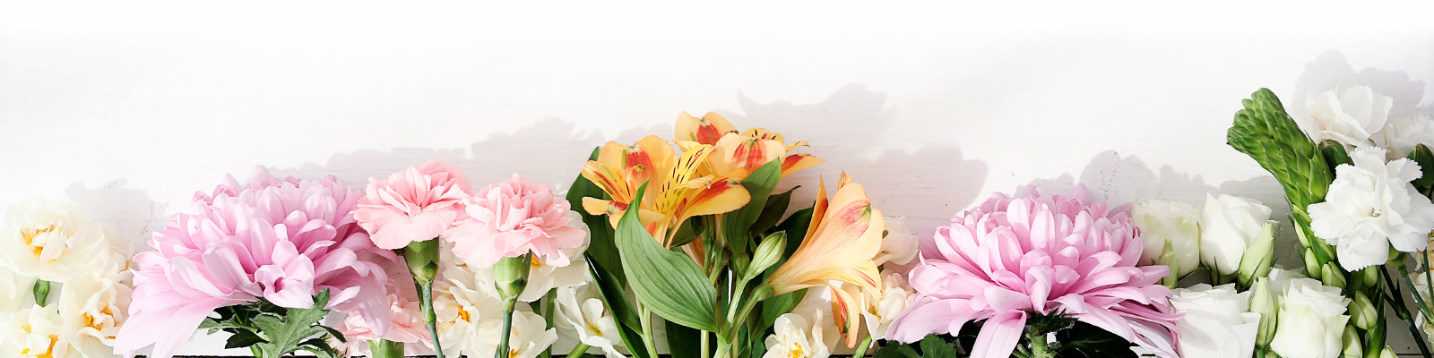Download View Signature Collection - Bottom Flower Design - HD ...