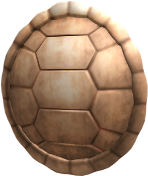 Download Turtle Back Shell - HD Transparent PNG - NicePNG.com