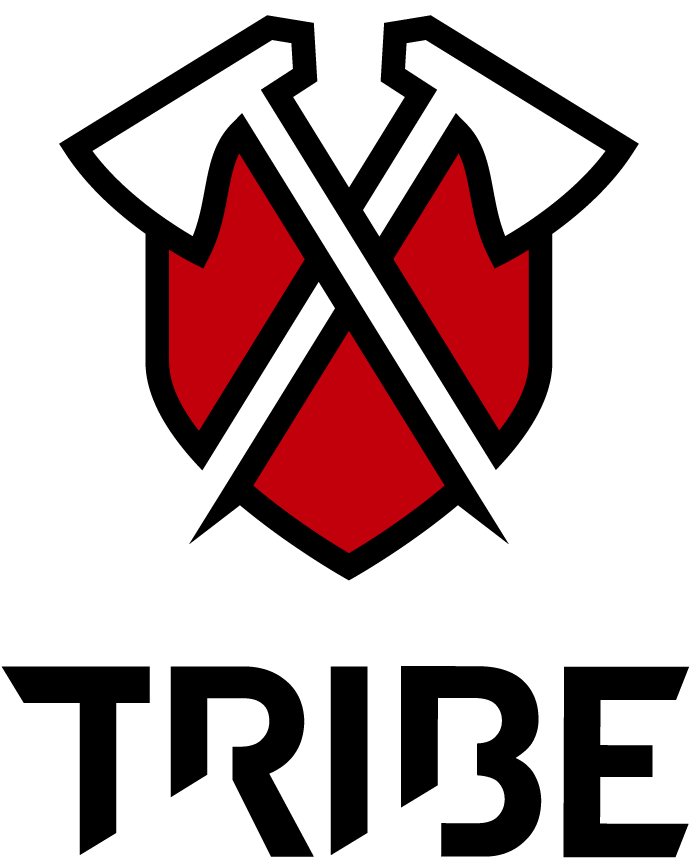 Download Videographer / Video Editor - Tribe Gaming - HD Transparent ...