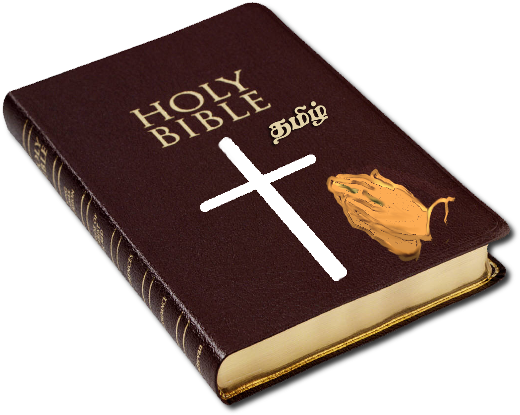 Download Free Png Holy Bible Png Images Transparent - Christianity Holy ...