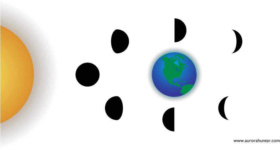 Download Moon Phases - Phases Of The Moon Png - HD Transparent PNG ...
