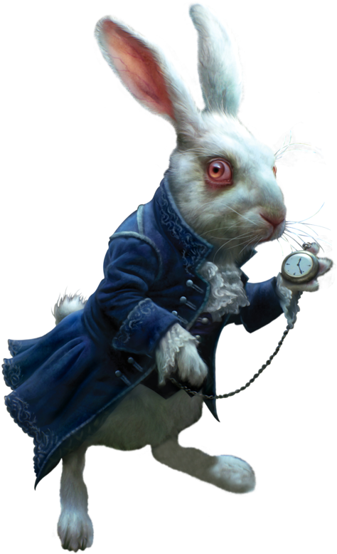 Download Яндекс - Фотки - Alice In Wonderland White Rabbit Png - HD ...