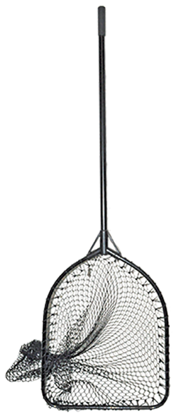 Download Super Landing Net - Drawing - HD Transparent PNG - NicePNG.com