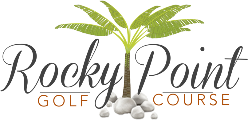 Download HD High Res Rp Transparent PNG Image - NicePNG.com