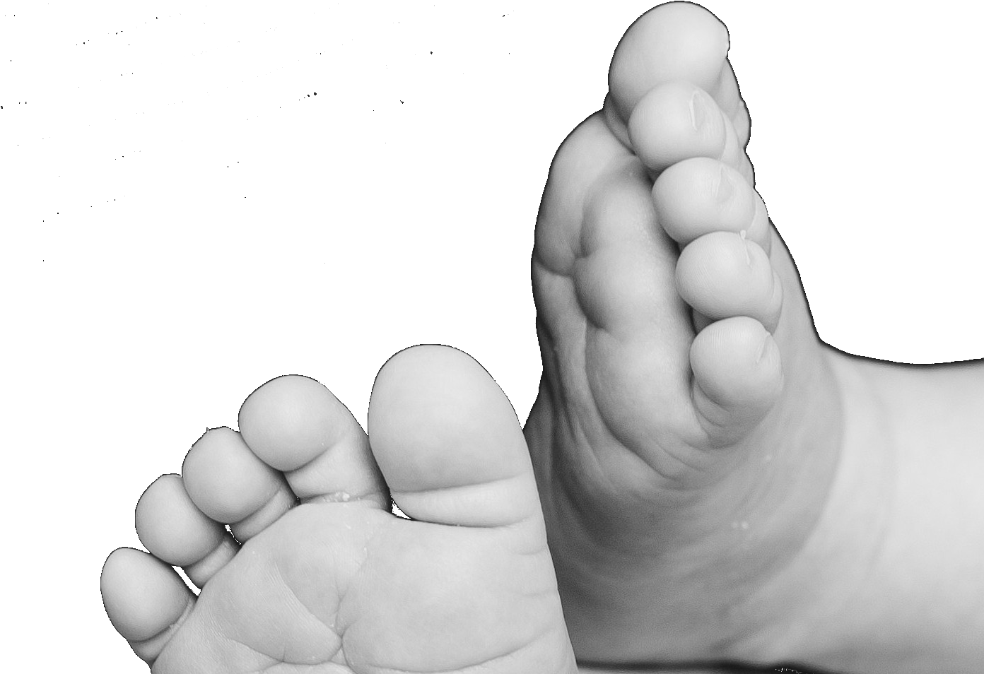 Download Baby Feet Png Transparent - Baby Feet Photo Png - HD ...