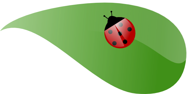 Download Ladybug Clipart Leaf Clip Art - Ladybug On Leaf Clipart - HD ...