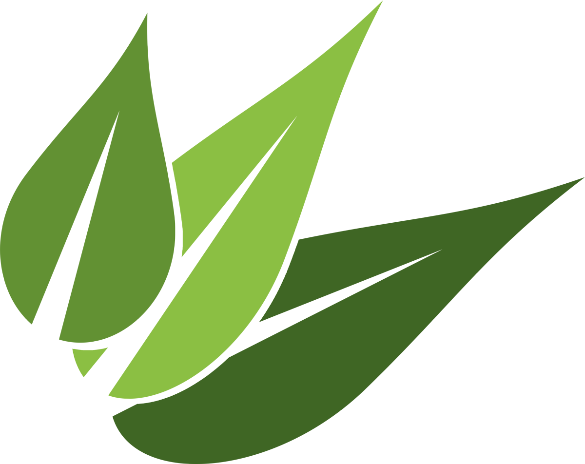 Download HD Leaves Logo - Leave Logo Transparent PNG Image - NicePNG.com