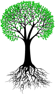 Download Tree And Root Vector 542559 - Transparent Tree With Root - HD ...