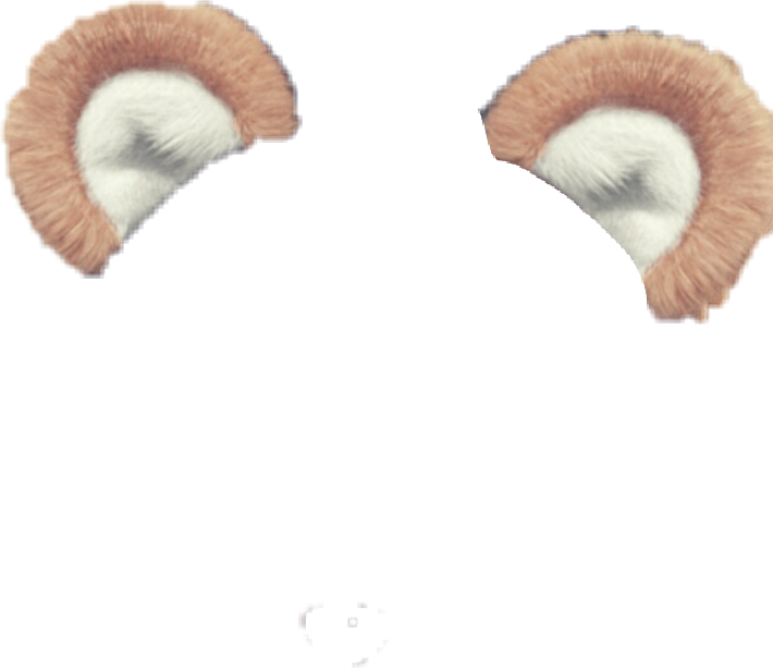 Download HD Bear Ears Png - Bear Snapchat Filter Png Transparent PNG ...