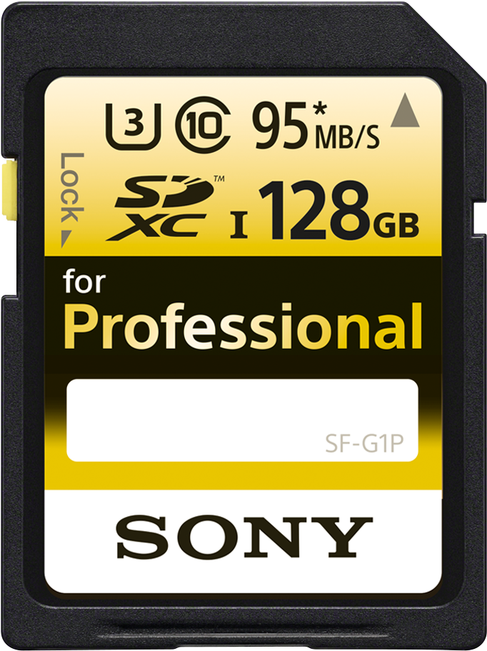 Download Sony Sd Card Professional - HD Transparent PNG - NicePNG.com
