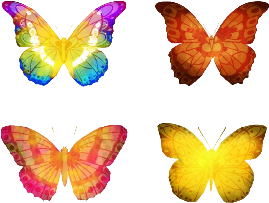 Download Butterflies Vector Png Hd - Butterfly Vector Hd Png - HD ...