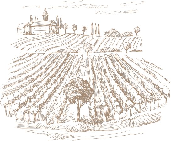 Download History - Vineyard Png - HD Transparent PNG - NicePNG.com