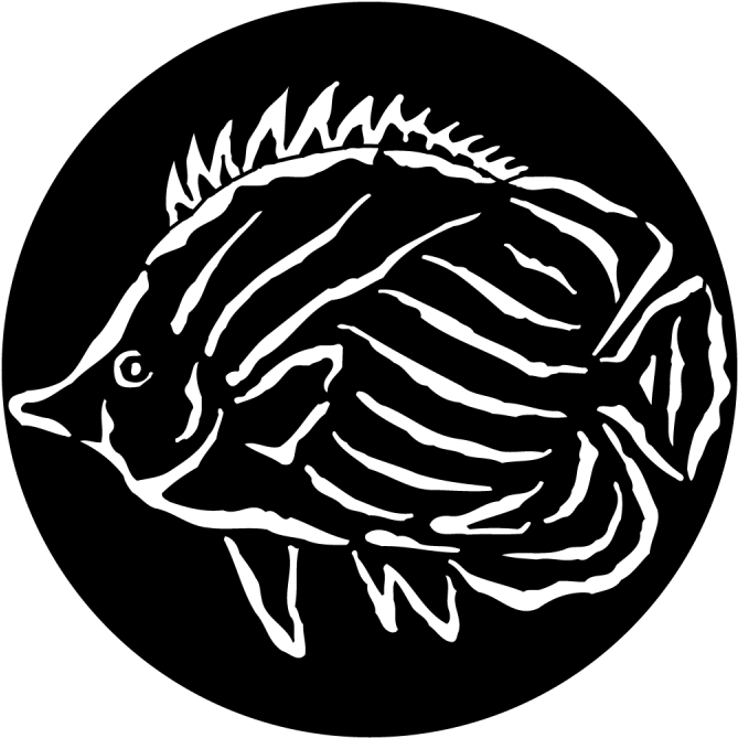 Download HD Sea Tropical Fish - Fish Gobo Transparent PNG Image ...