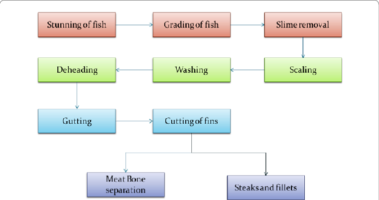 Download Fish Processing Steps - HD Transparent PNG - NicePNG.com