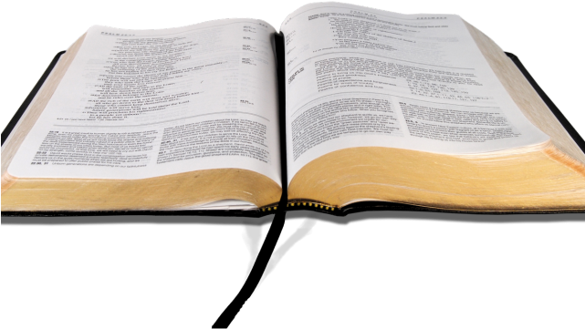 Download Bible Clipart Transparent Background - You're In God's Plan ...