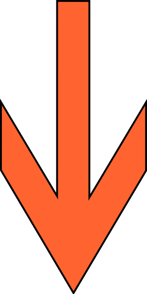 Download Down Arrow Orange - HD Transparent PNG - NicePNG.com