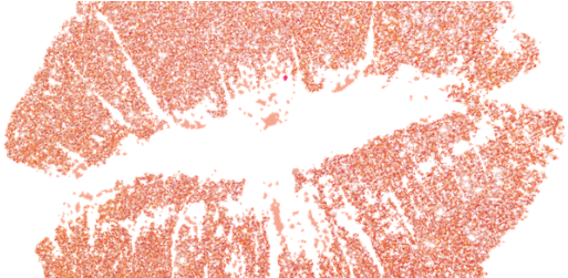 Rose Gold Lips Logos | Lipstutorial.org